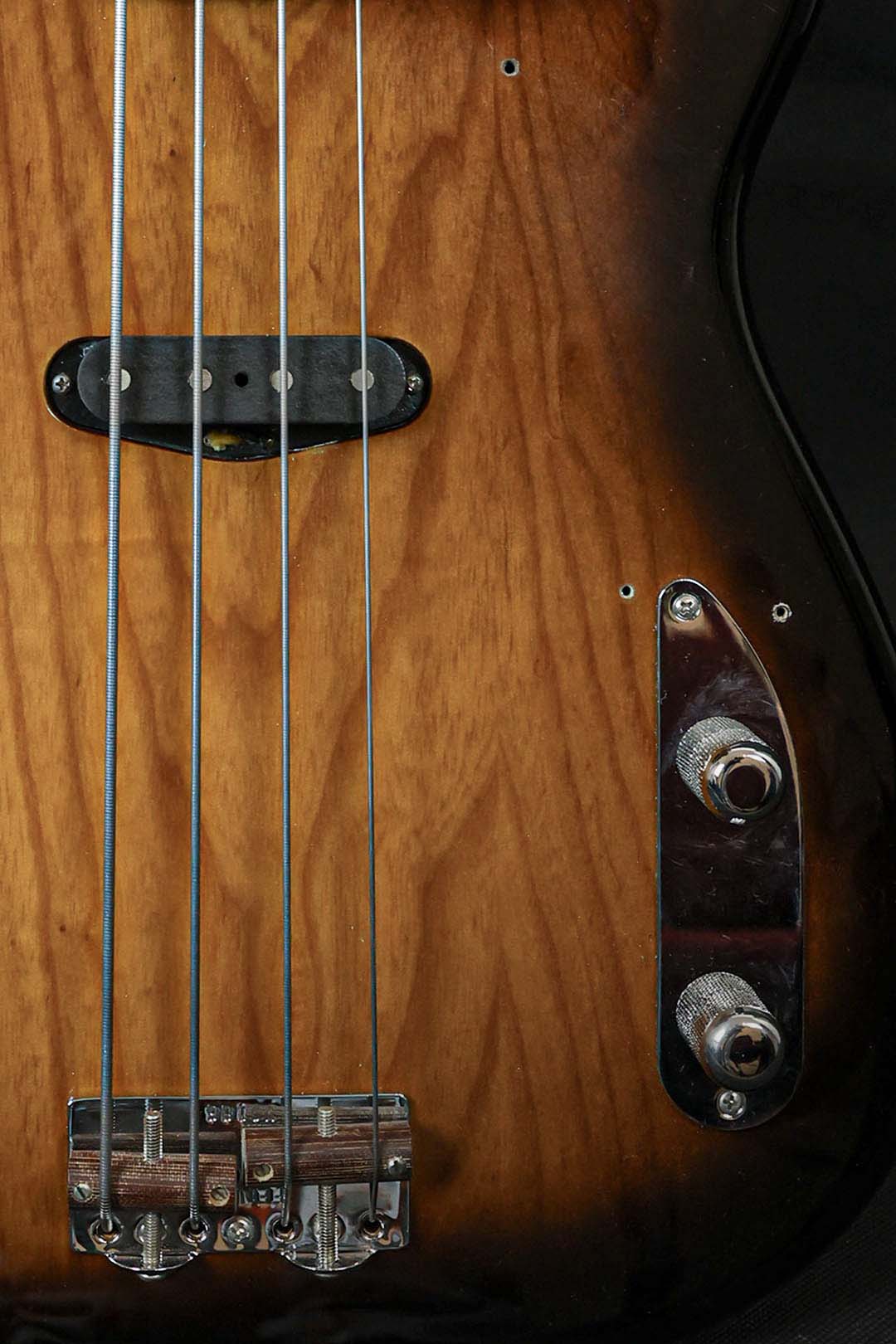 Bass – Fretboard Jungle