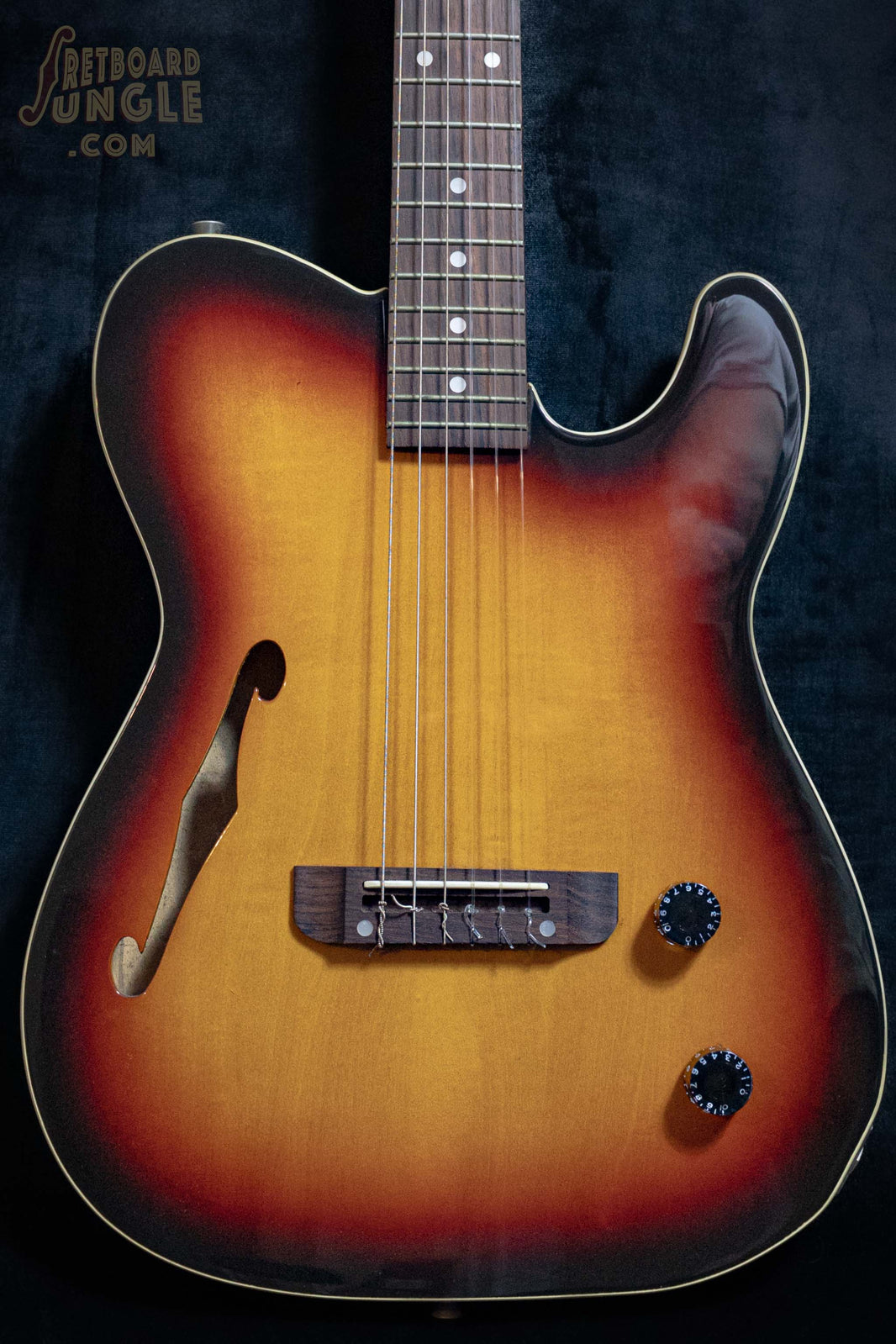 Acoustic – Fretboard Jungle